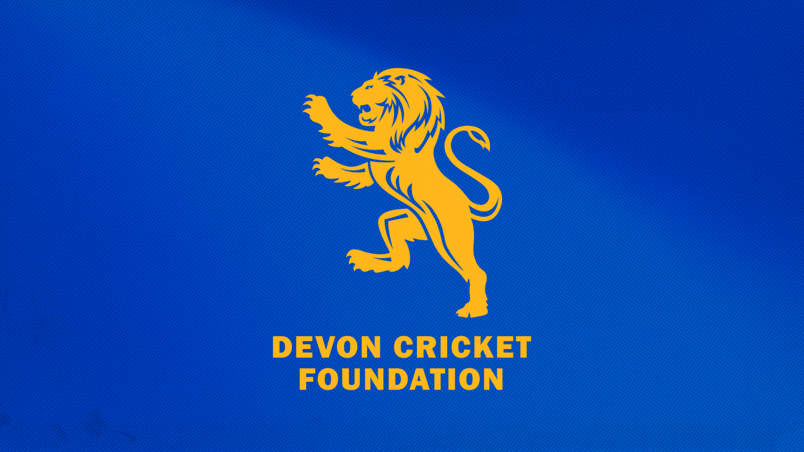 Devon Cricket Foundation Restructure - Devon Cricket